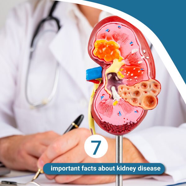 Know the Hemodialysis vs Peritoneal Dialysis | Alfa Kidney Care